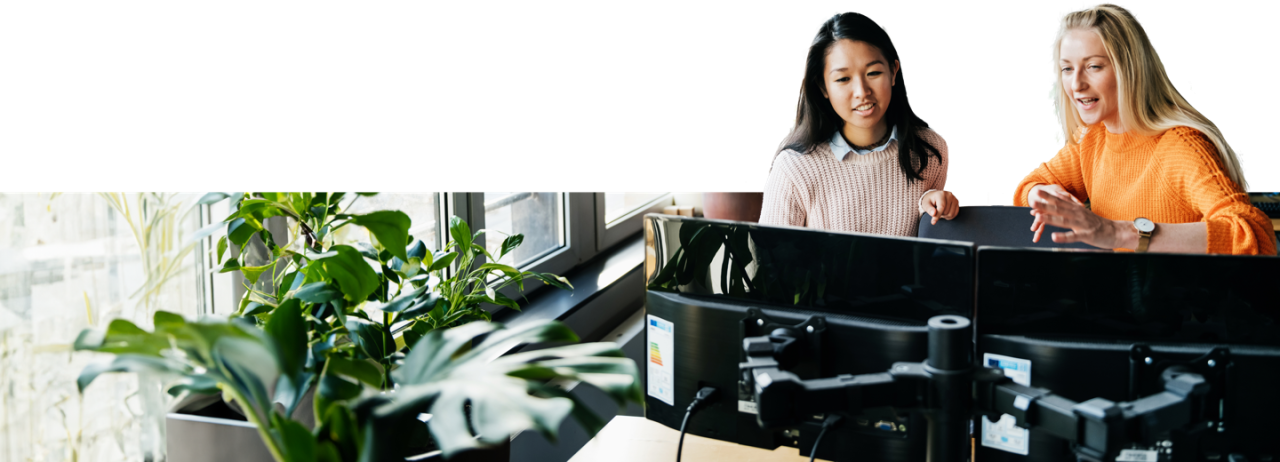 Services - Loop Consulting